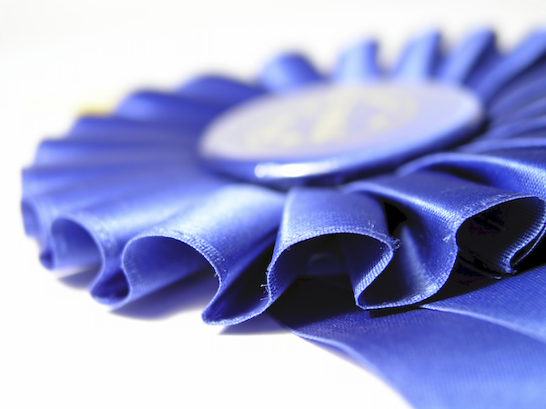 Blue Ribbon Awards given to employees committed to excellence | UTC News